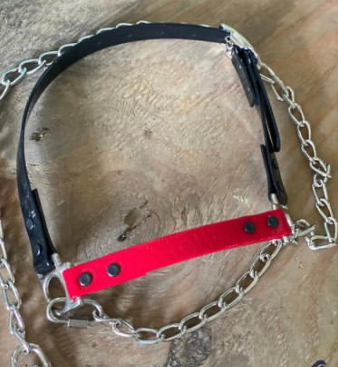 Specialty Halters – West Draw Tack & Supply